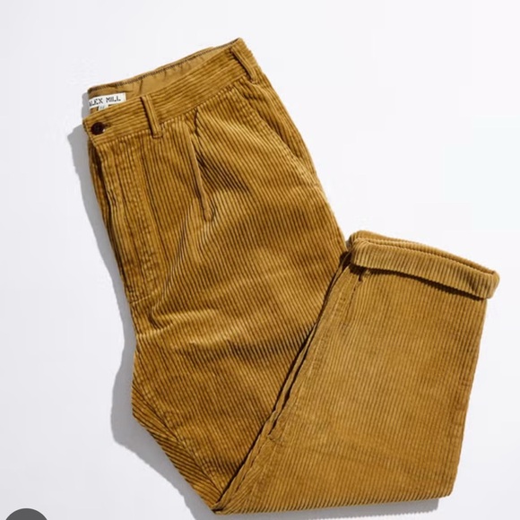 Alex Mill | Pants | Alex Mill Corduroy Pants Mens 29 Pleated Wide Wale ...